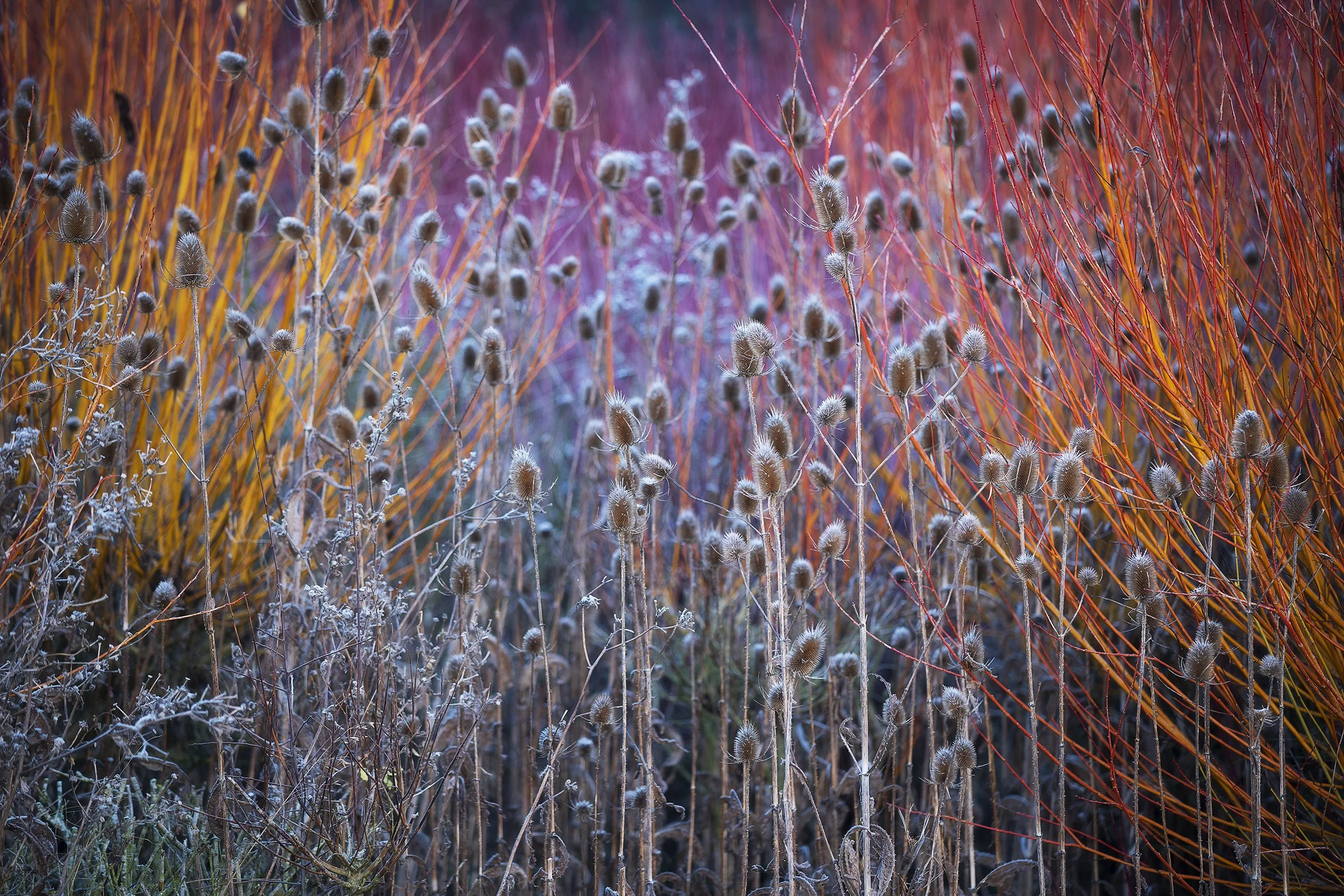 Paul Mitchell Photography