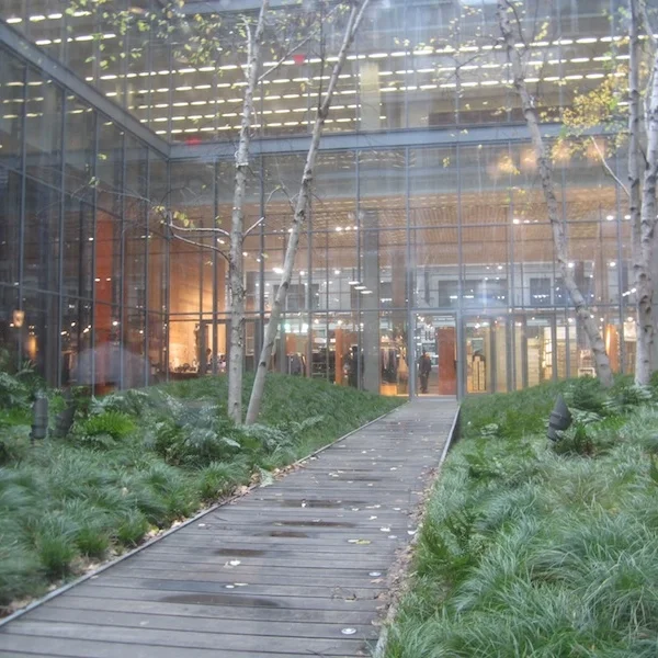Pocket Park Between Buildings
