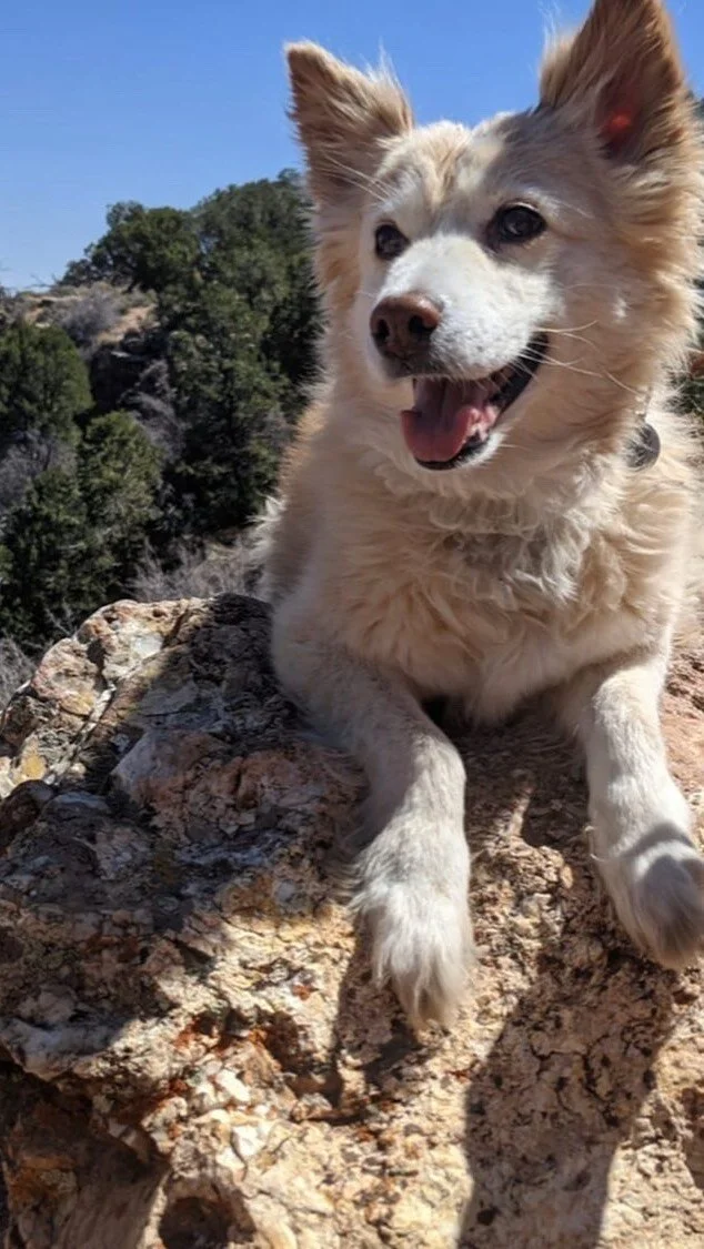 Ashlee Piper - Sustainability Expert