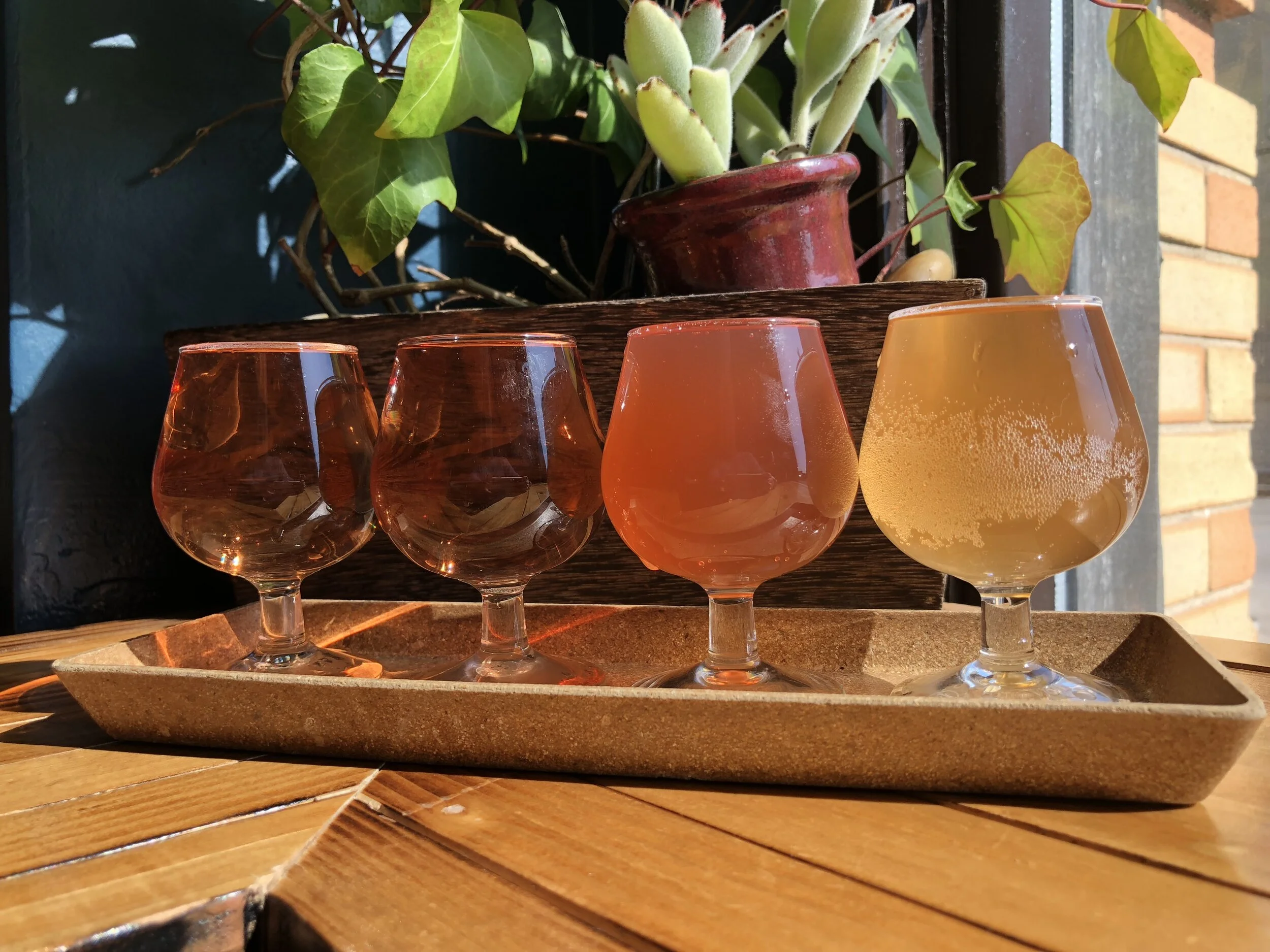 Craft Cider Bar Milwaukee — Lost Valley Cider Co.