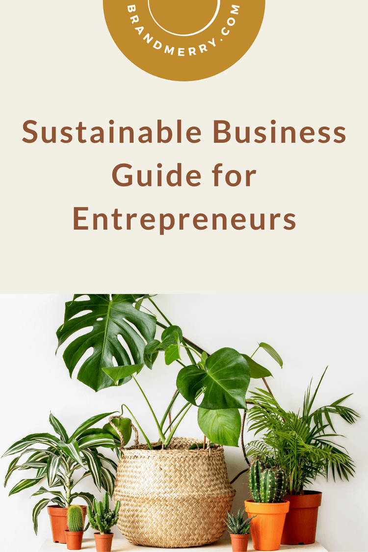 Sustainable Business Guide for Entrepreneurs from a Brand Strategist ...