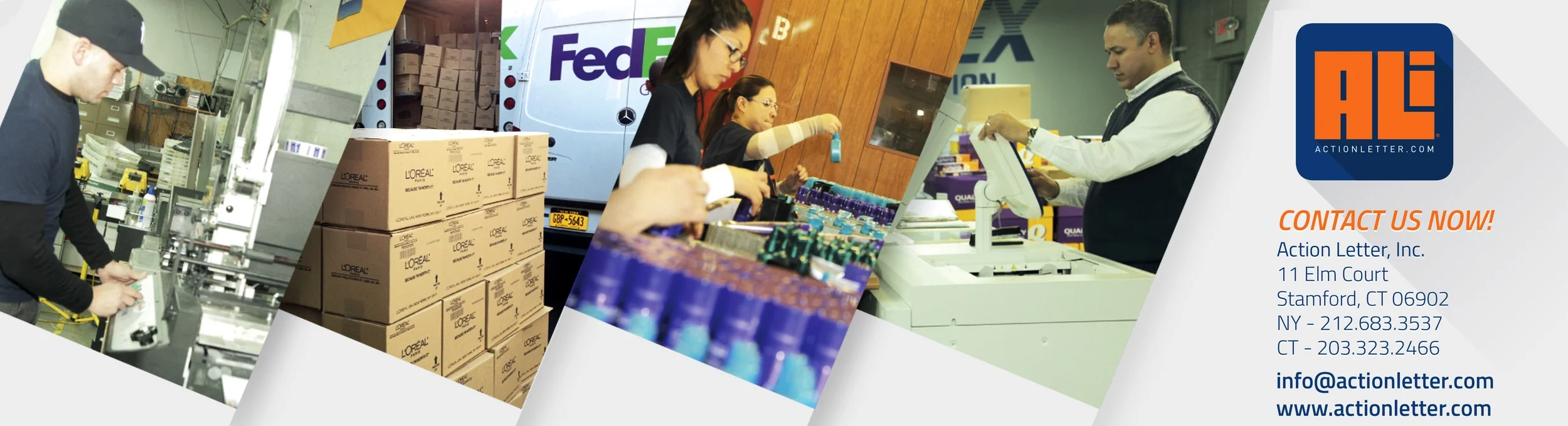 Contact Us — Action Letter, Inc.