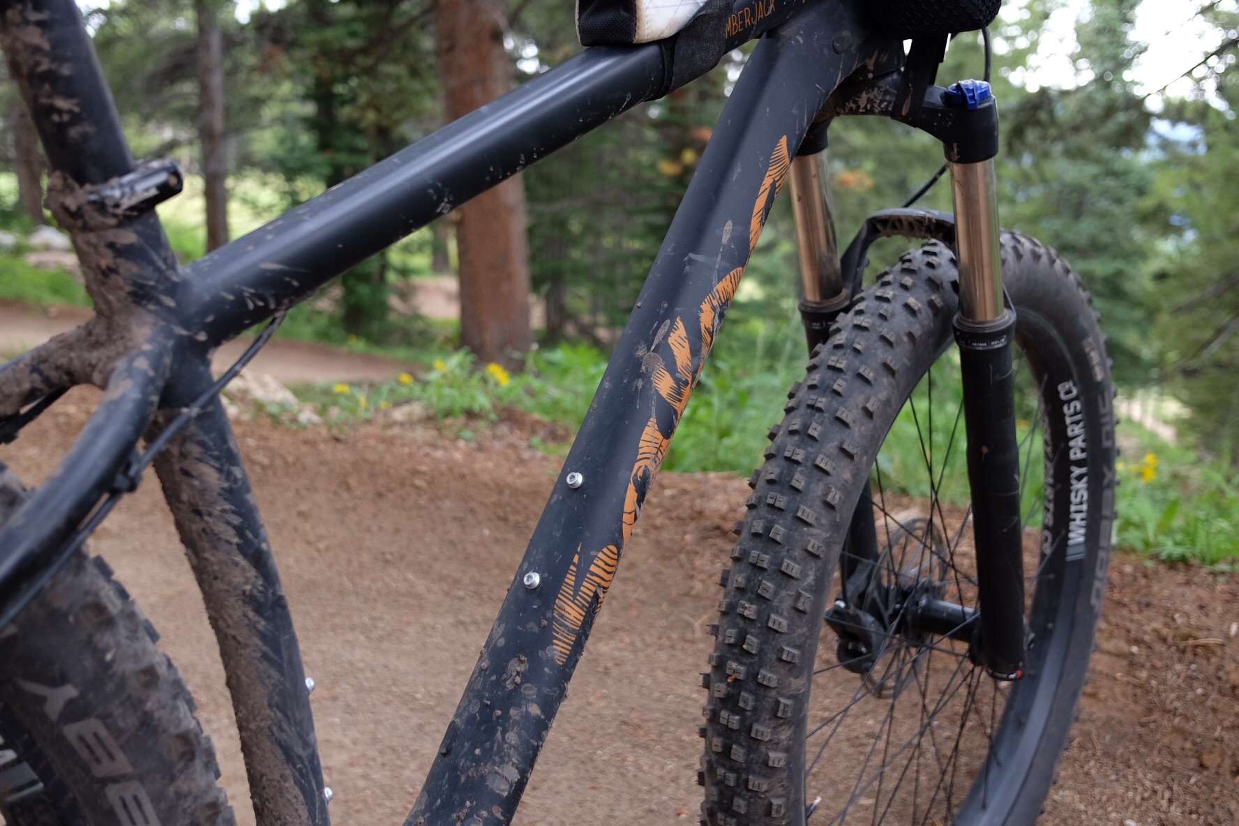 Salsa Timberjack: Ride Review — #unlearnpavement
