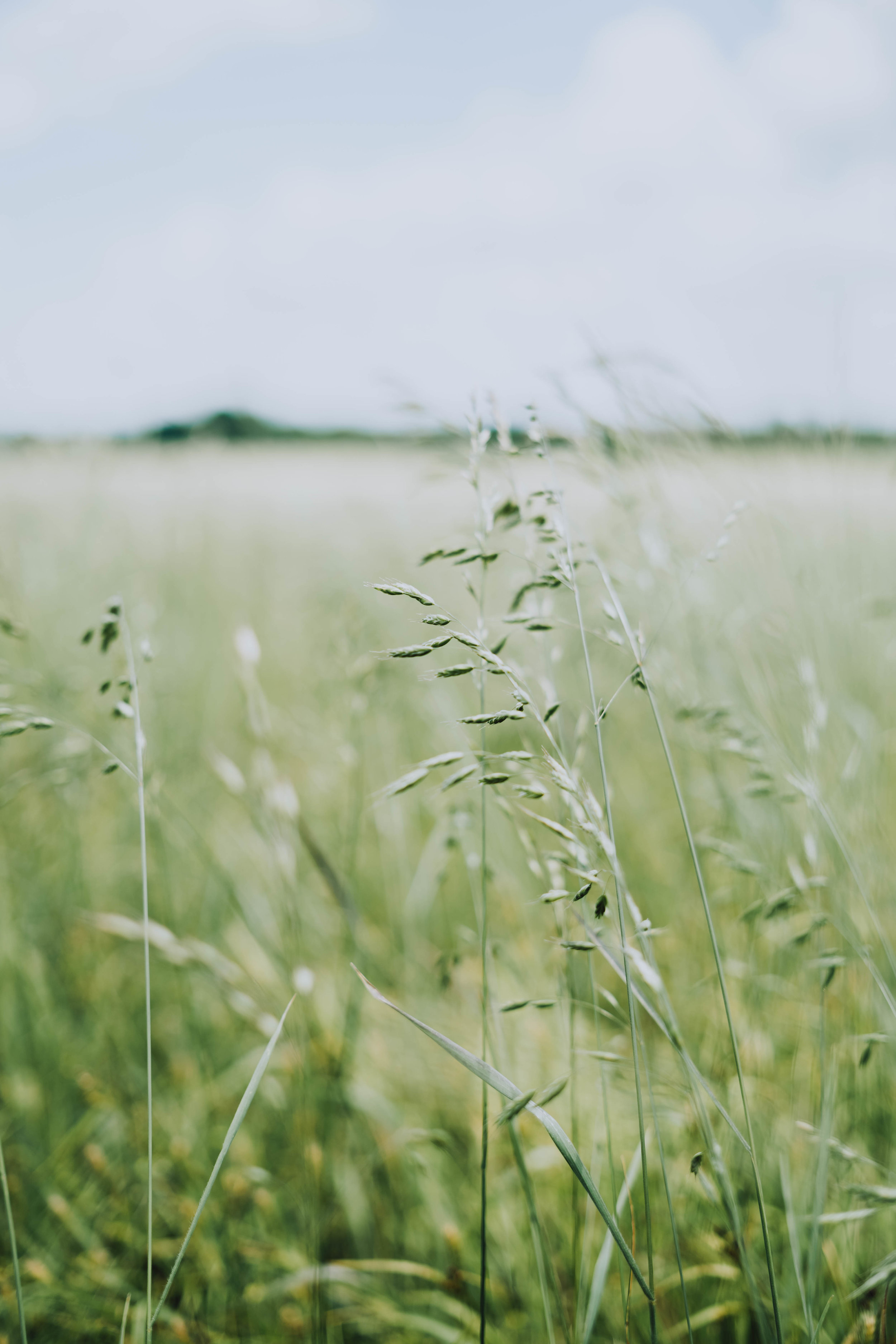 KAILEE ROSE | Nashville Photo + Video