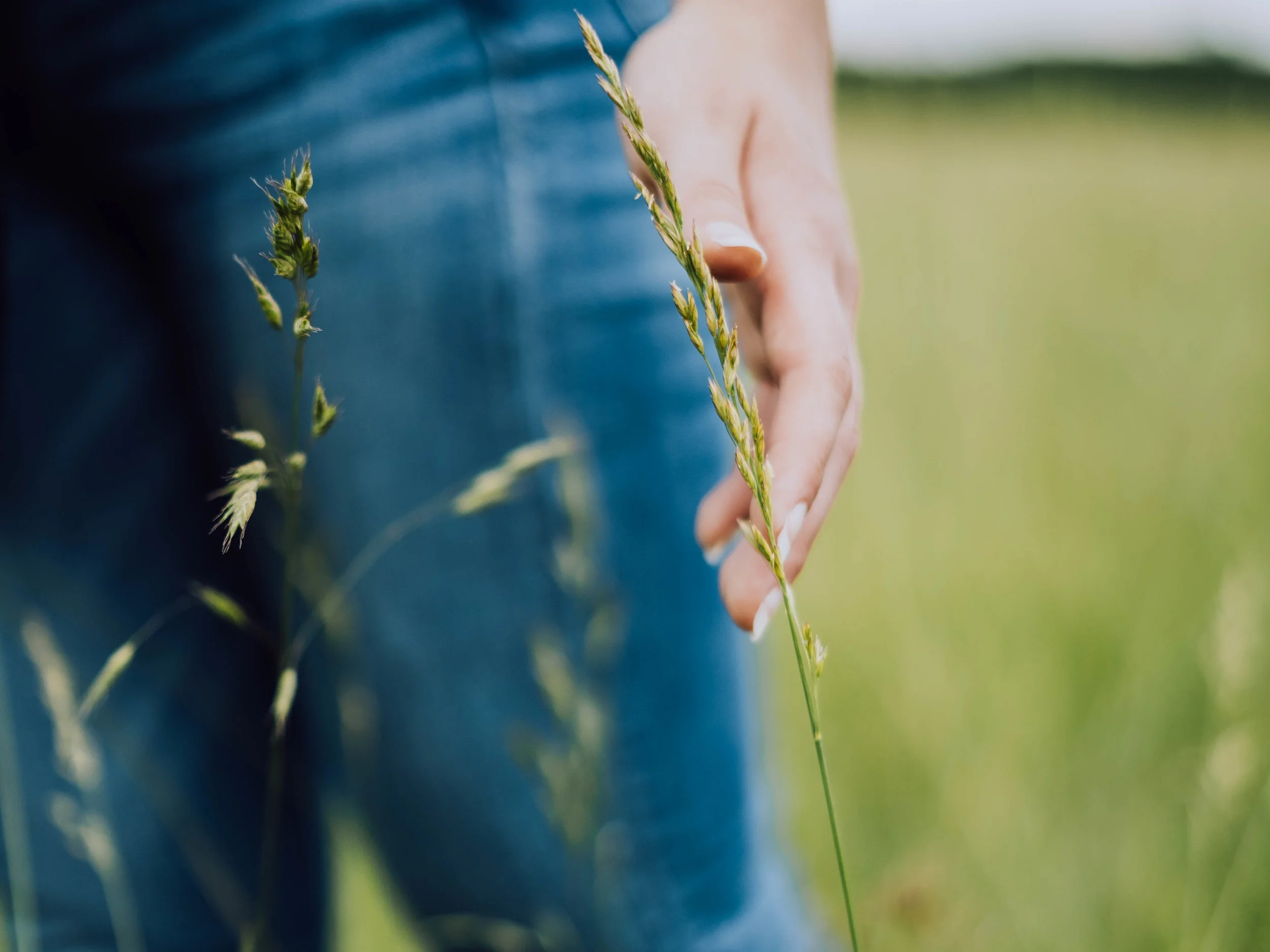 KAILEE ROSE | Nashville Photo + Video