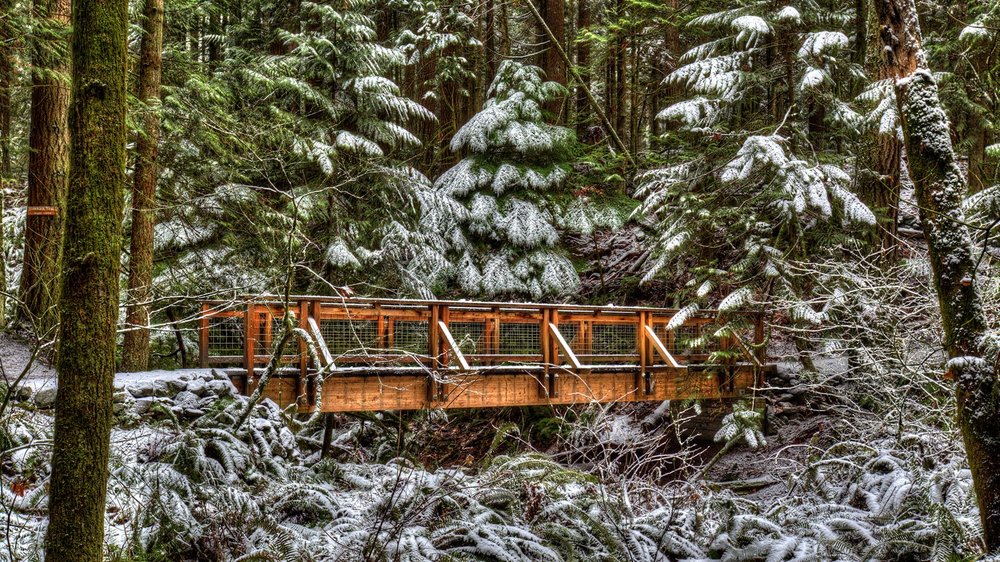 Little Mountain Park — Mount Vernon Parks Foundation