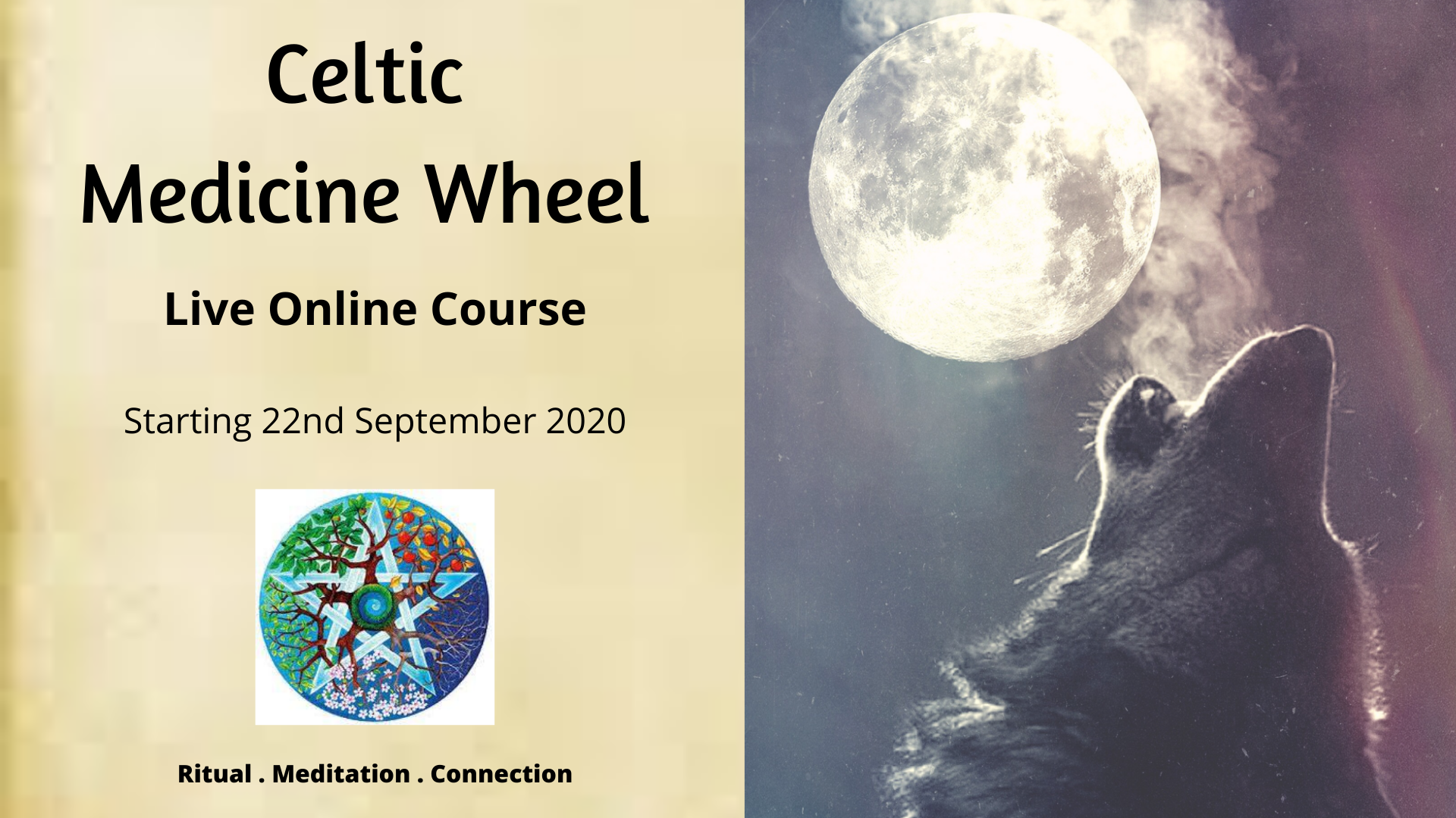 Celtic Wisdom: Medicine Wheel — Firetree Alchemy