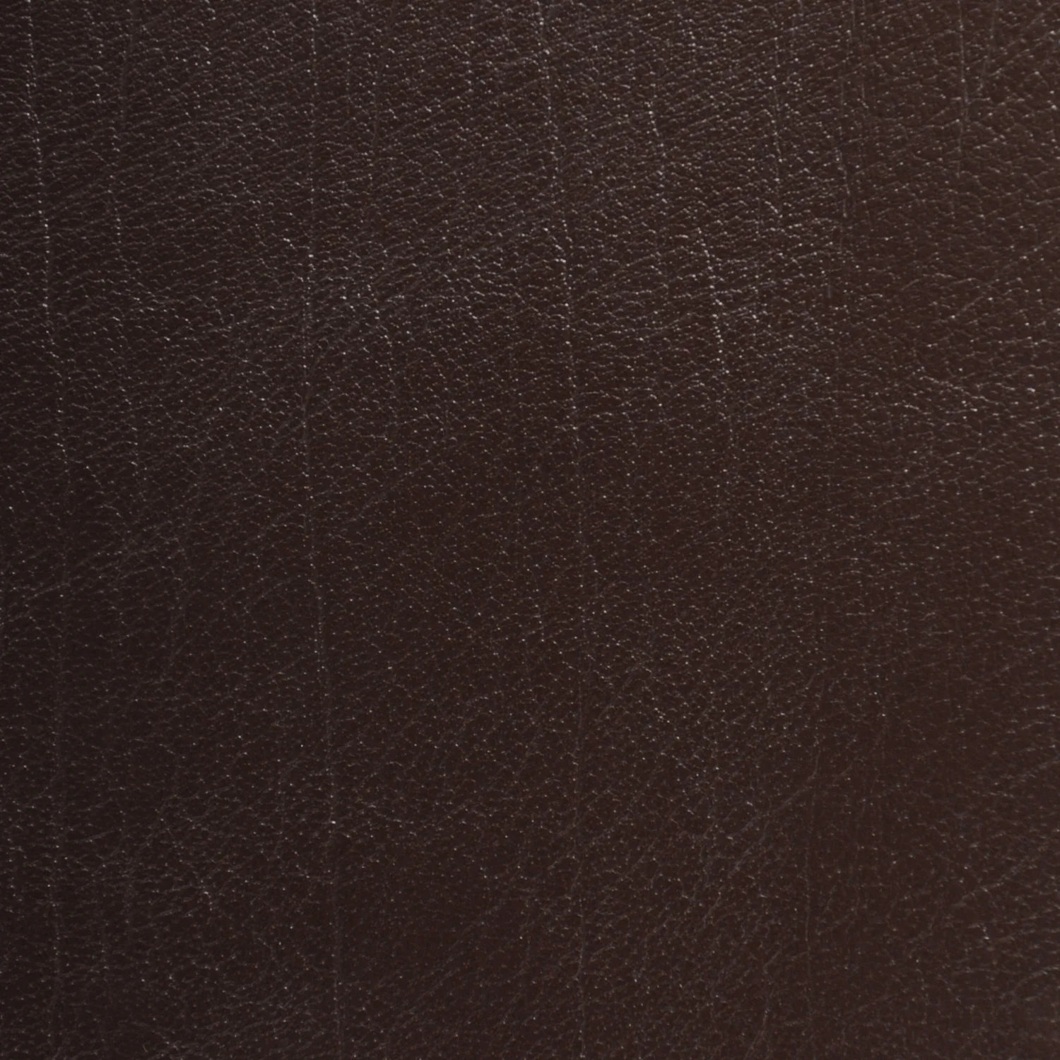 Pigskin Leather — C & H Custom Bookbinding