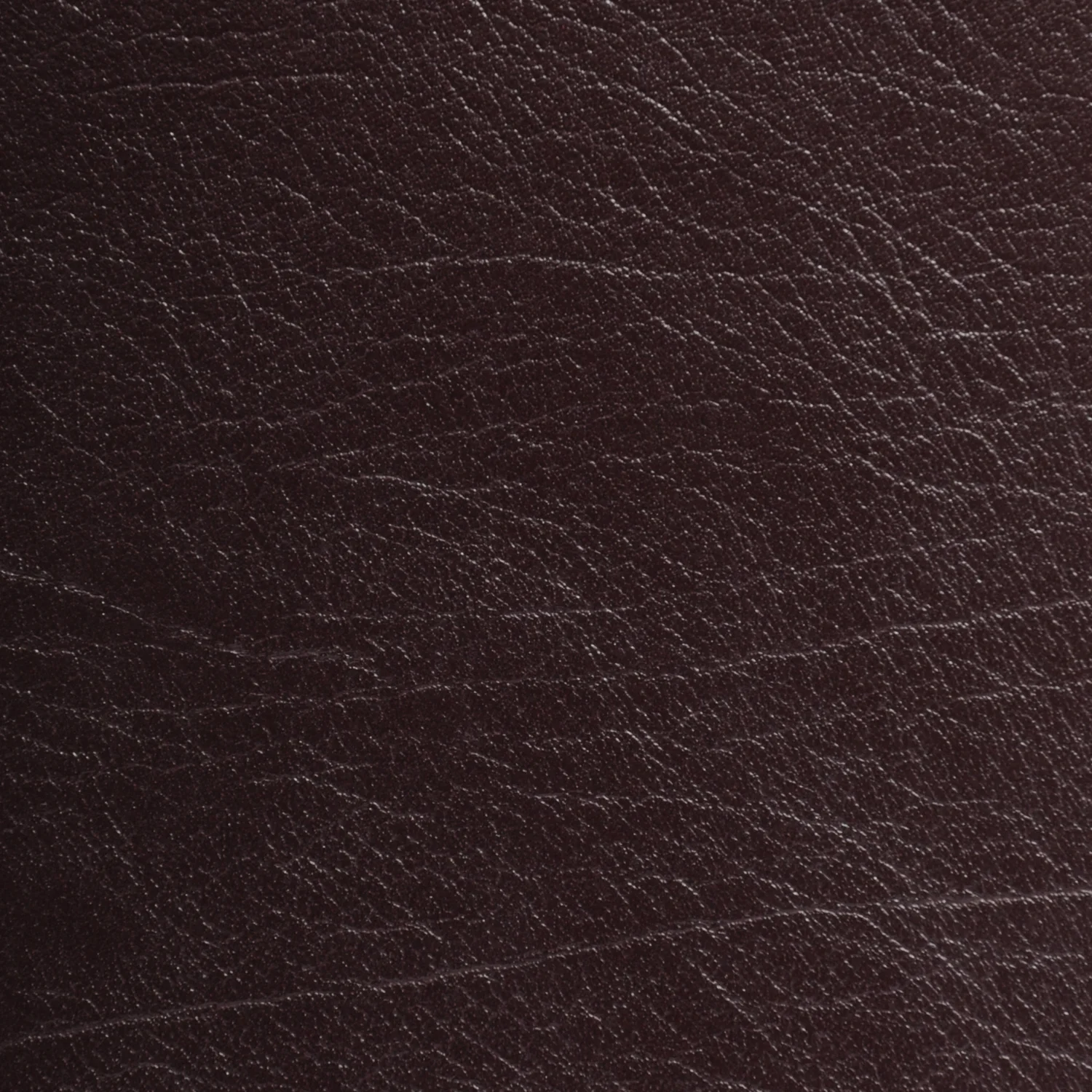 Pigskin Leather — C & H Custom Bookbinding