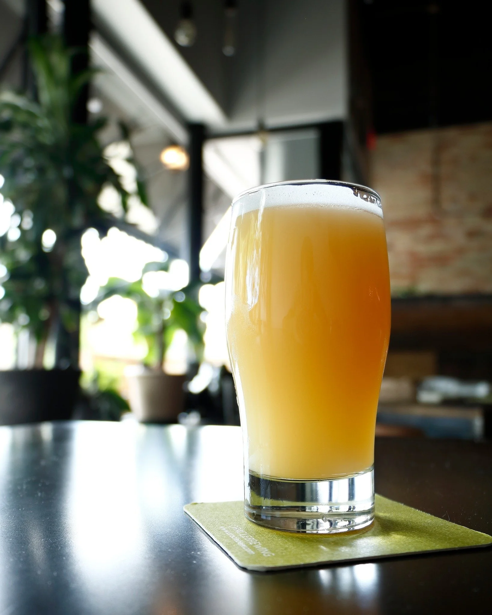 Oracle Brewing Co. Saginaw, MI