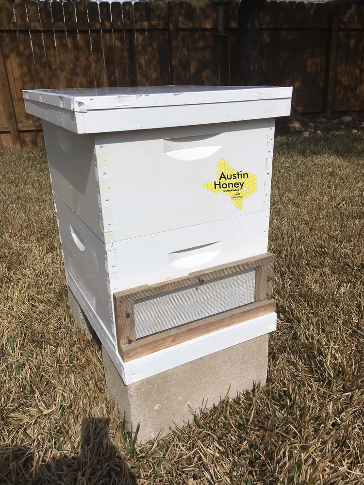 Honey Bee Equipment Sale