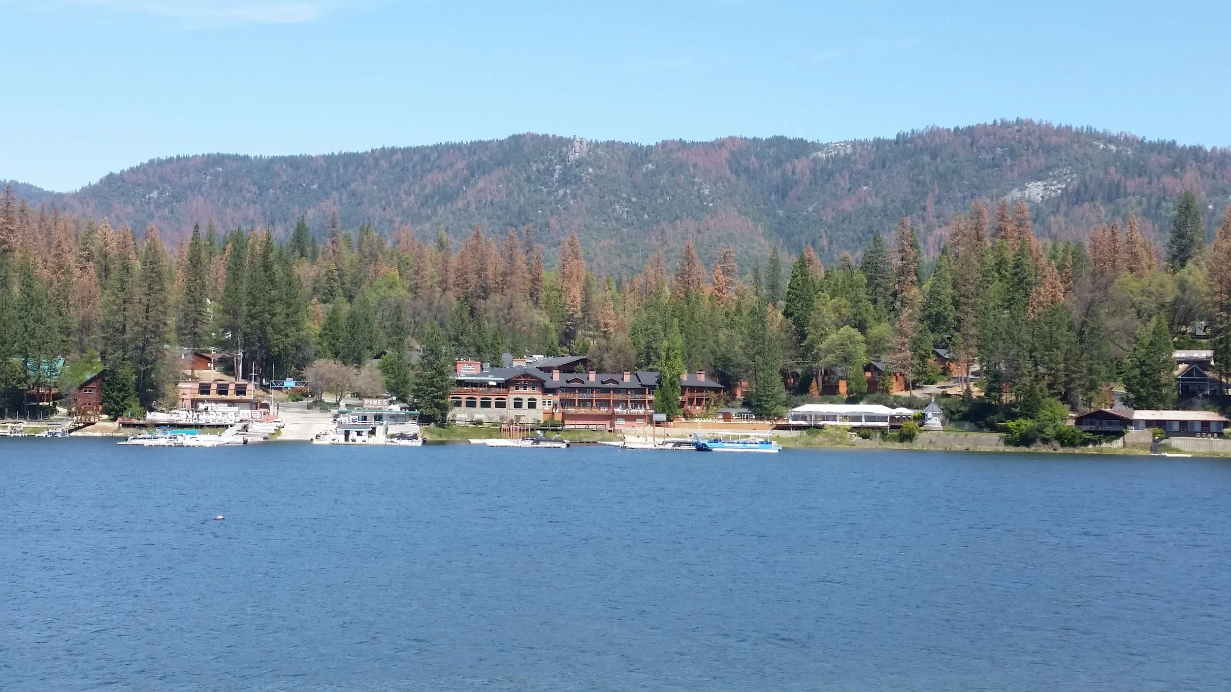 Lodging — Bass Lake Chamber of Commerce
