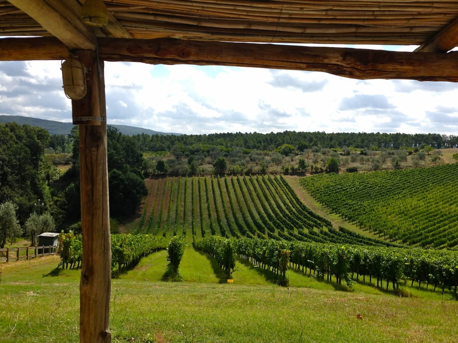 David Whyte & Many Rivers