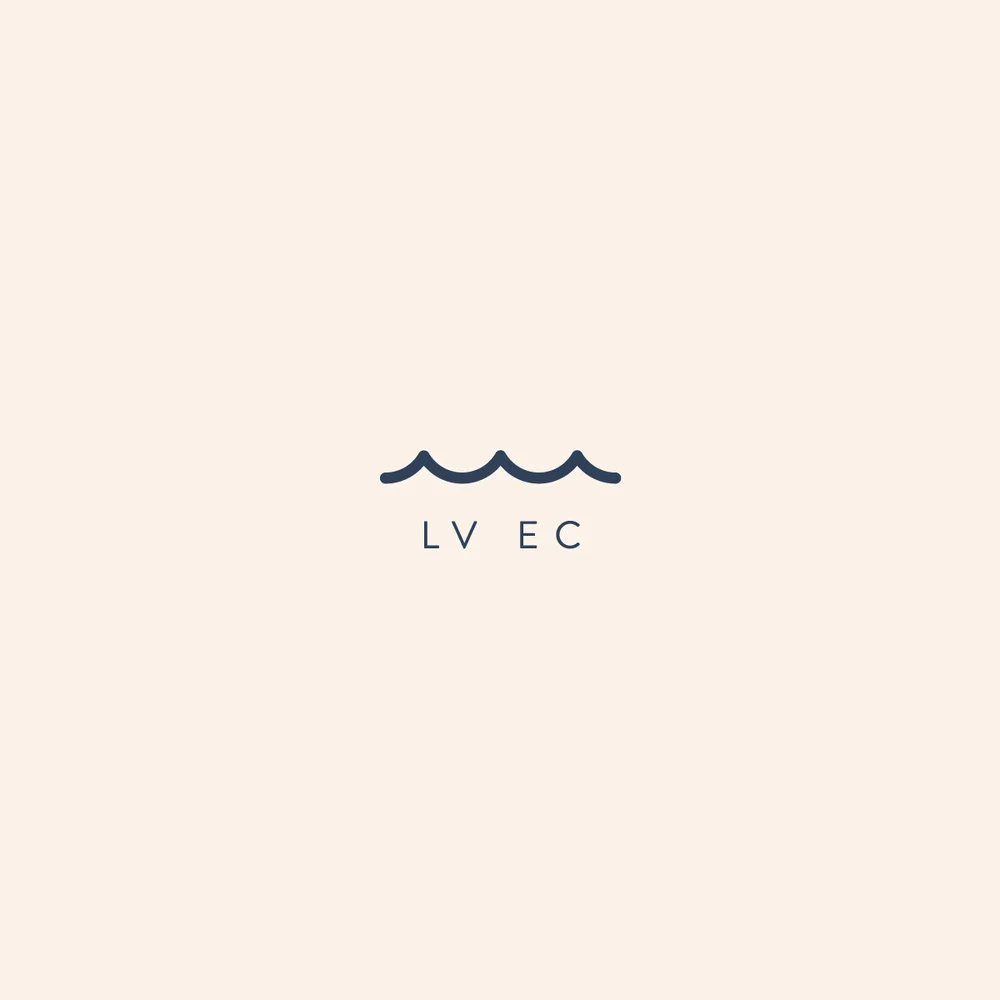 Branding: Lakeview Eye Care — The Homegrown Studio