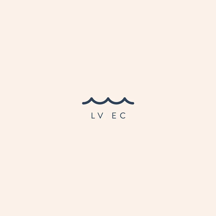 Branding: Lakeview Eye Care — The Homegrown Studio