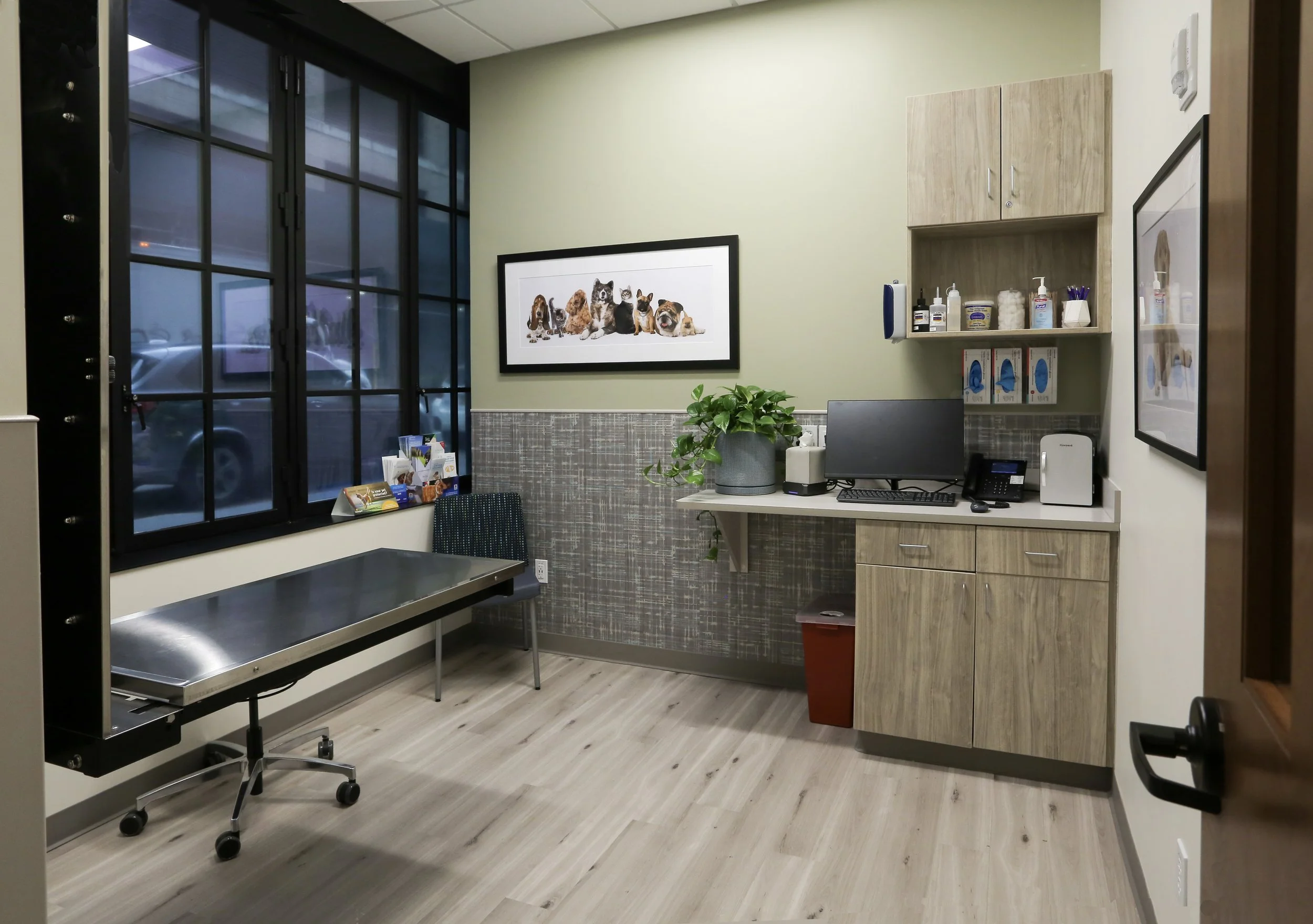 Commercial & Veterinary Architecture - M.D. Architects PC