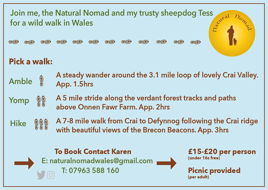 Activities — Onnen Fawr