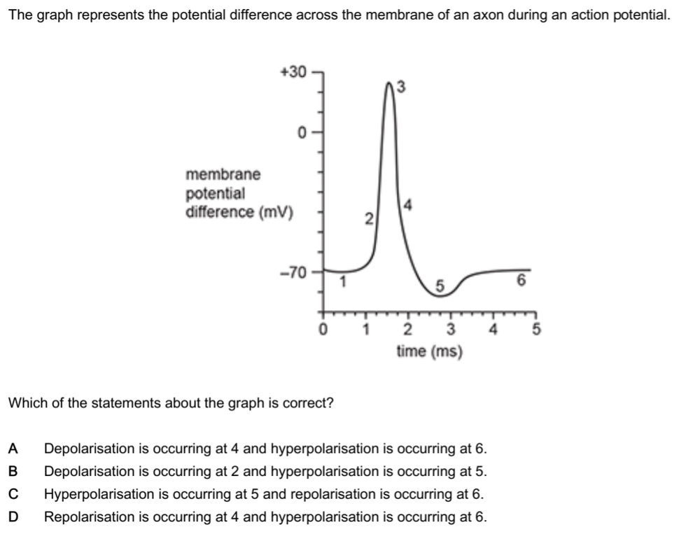 Mastering Resting Potential, Action Potential and Propagation: Common ...