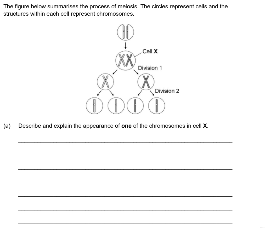 Mastering AQA A Level Biology Section 3.4.3: Genetic Diversity via ...