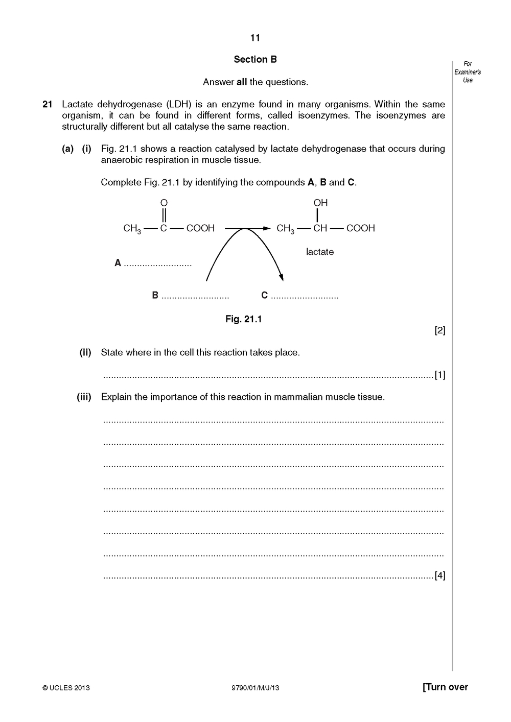 Respiration and Enzymes/Protein structure ... Hard Synoptic A-level ...