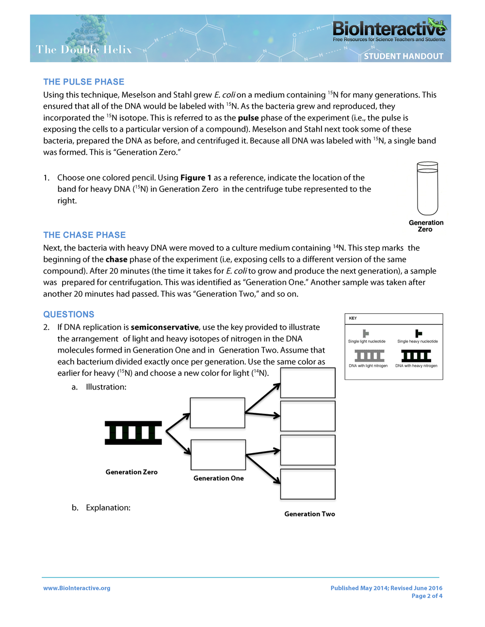 Understanding "Meselson and Stahl" with an Excellent resource from # ...