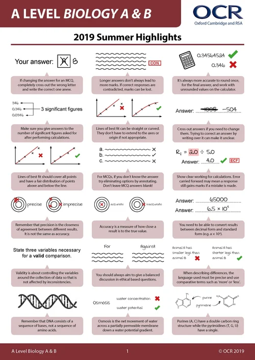 Excretion Ocr A Level Biology