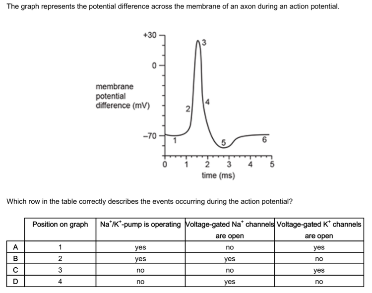 Mastering Resting Potential, Action Potential and Propagation: Common ...