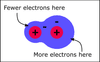Polar and Charged Molecules — Online A level Biology Tutor