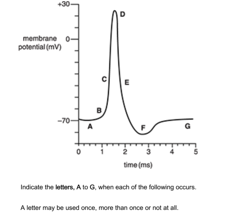Mastering Resting Potential, Action Potential and Propagation: Common ...