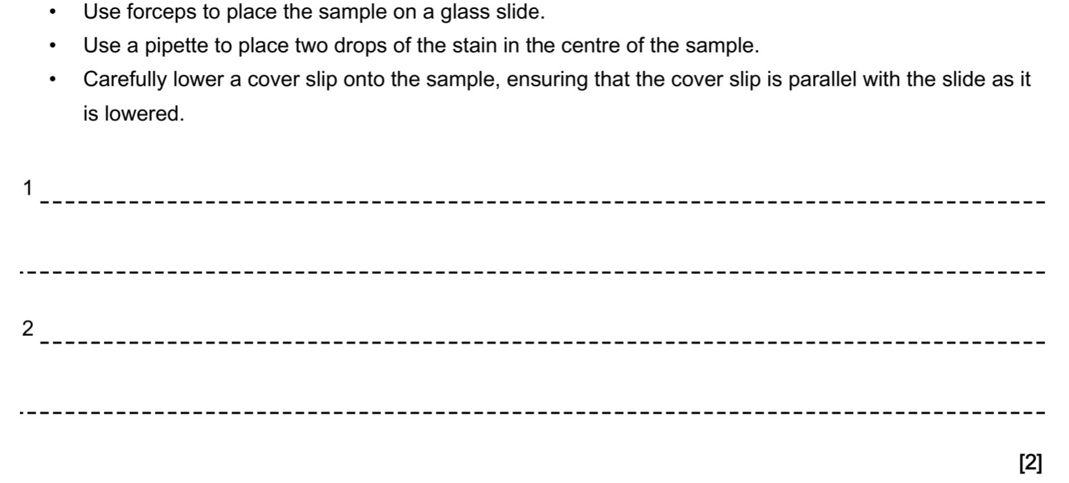 Mastering Microscopy and Cell Structure: Common OCR A Level Biology ...
