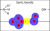 Polar and Charged Molecules — Online A level Biology Tutor