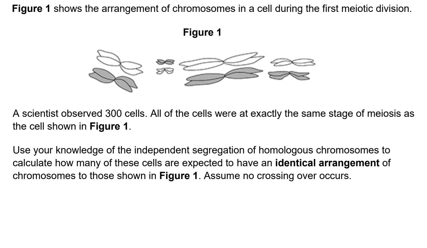 Mastering AQA A Level Biology Section 3.4.3: Genetic Diversity via ...