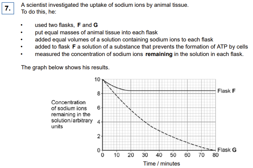 Key Concepts: Independent and Dependent Variables — Online A level ...
