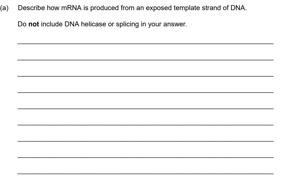 Mastering AQA A Level Biology Section 3.4.1: DNA, Genes and Chromosomes ...