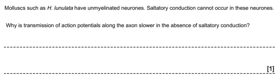 Mastering Neuronal Communication (OCR A 5.1.3 a-c): Common OCR A Level ...