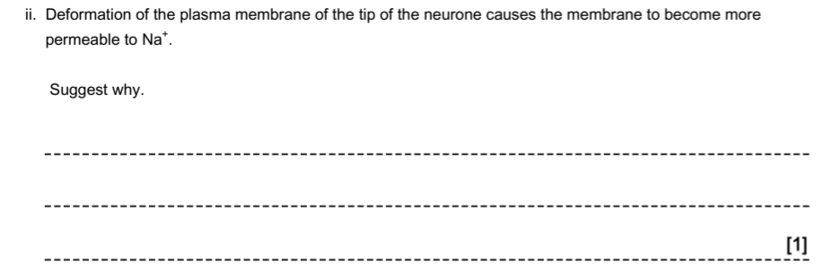 Mastering Neuronal Communication (OCR A 5.1.3 a-c): Common OCR A Level ...