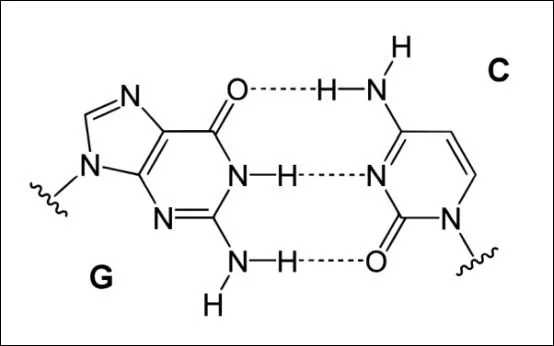 Polar and Charged Molecules — Online A level Biology Tutor