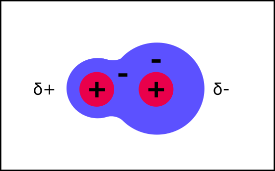 Polar and Charged Molecules — Online A level Biology Tutor