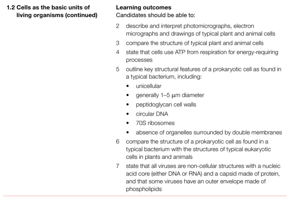 CIE — A level Biology Revision Resources (free) — Online A level ...