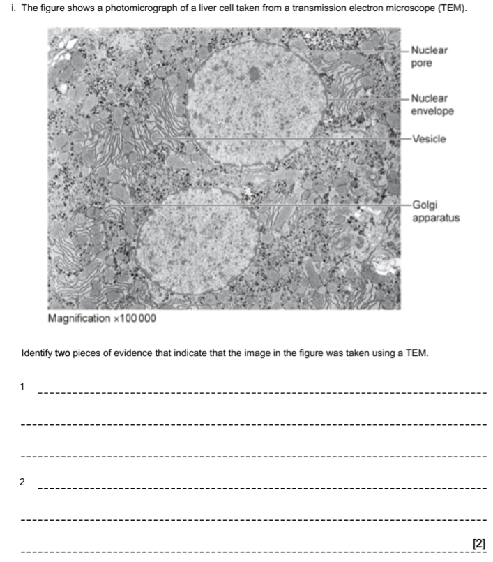 Mastering OCR A Level Biology Section 2.1.1: Cell Structure and ...