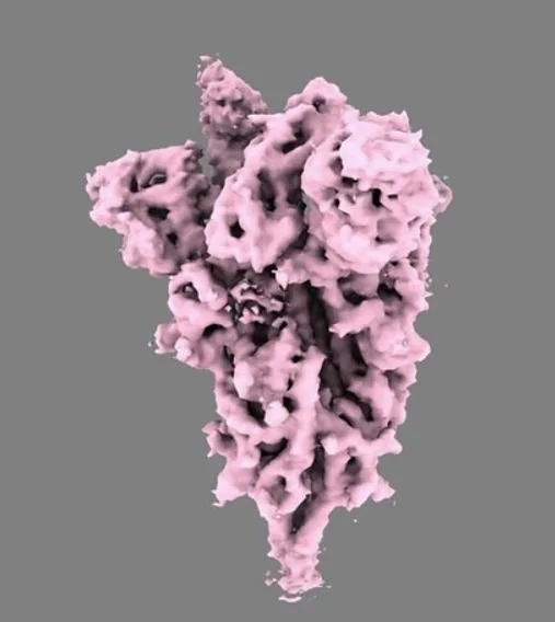 Understanding Amino Acids, Protein Structure, and Function — Online A ...
