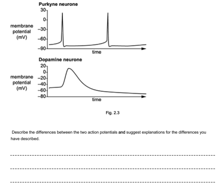 Mastering Resting Potential, Action Potential and Propagation: Common ...