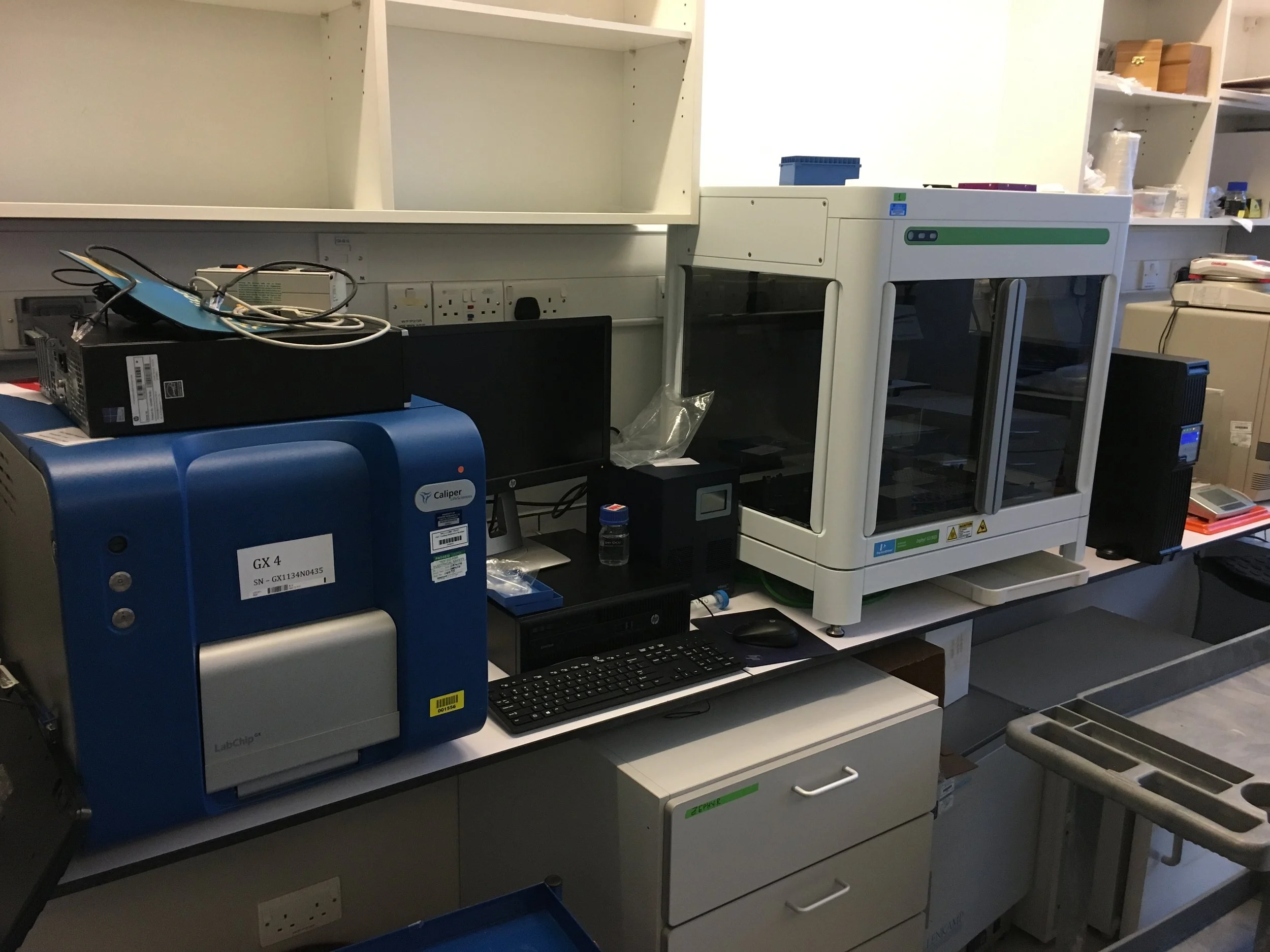 News — Teichmann Lab