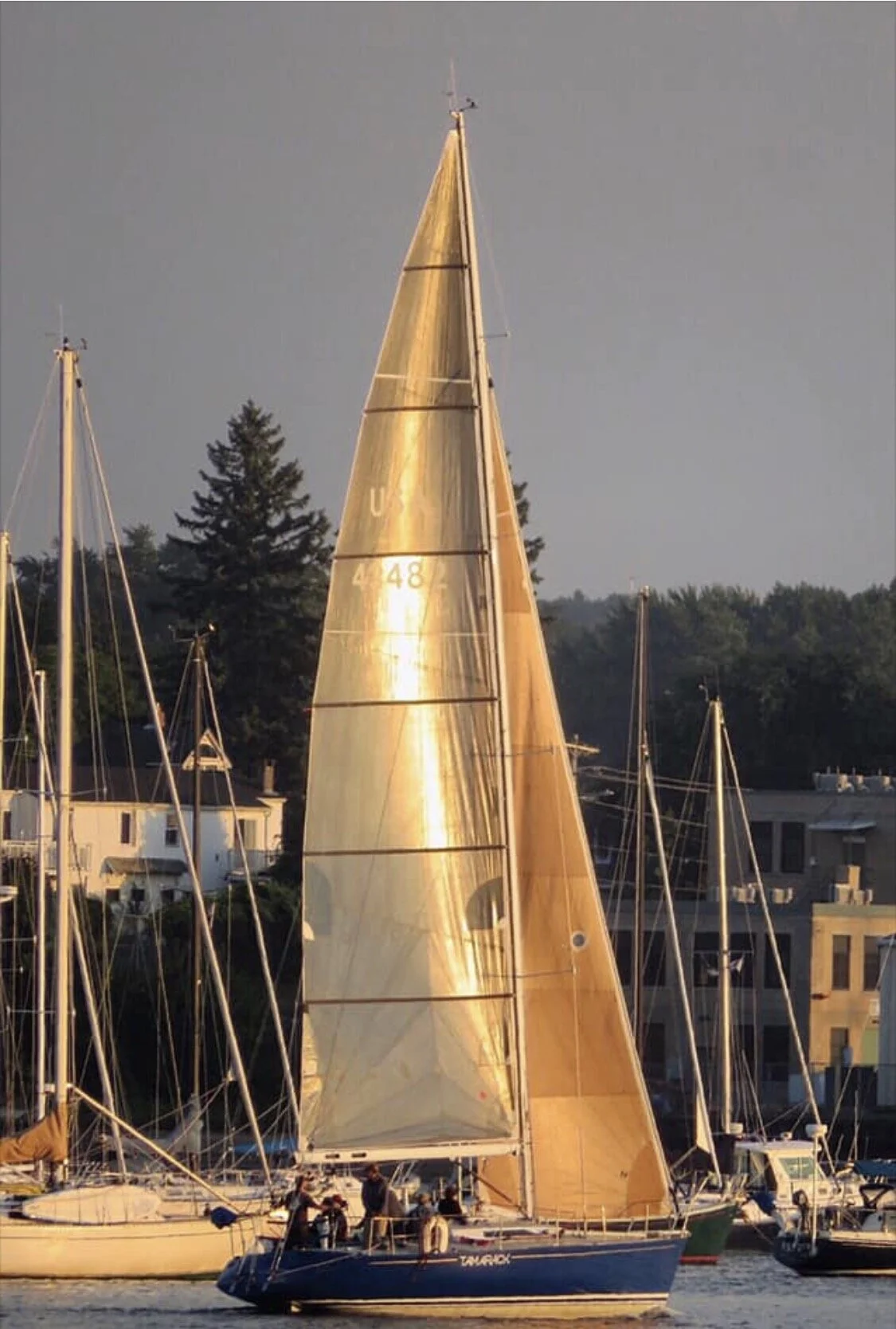 The Fleet — South Portland Sailing Center