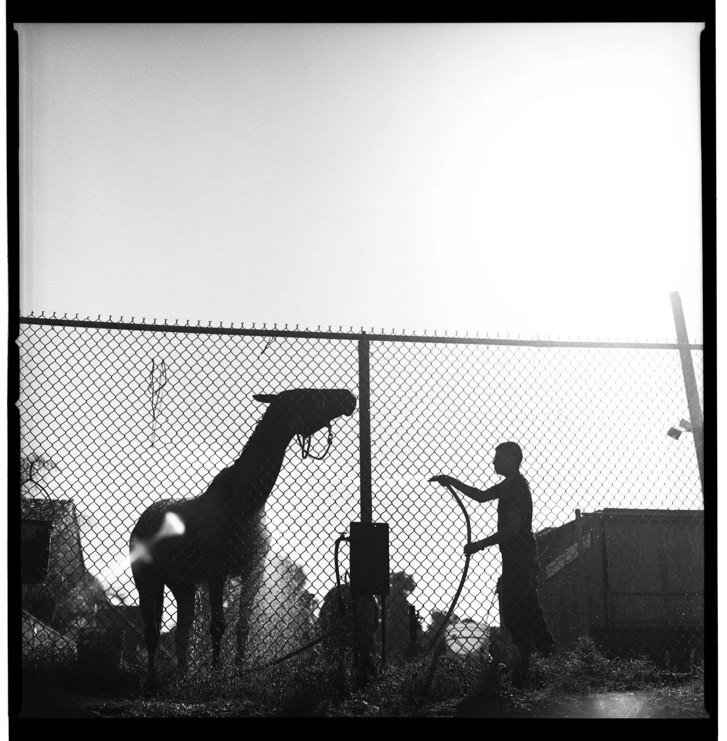 Track — Anne Fishbein