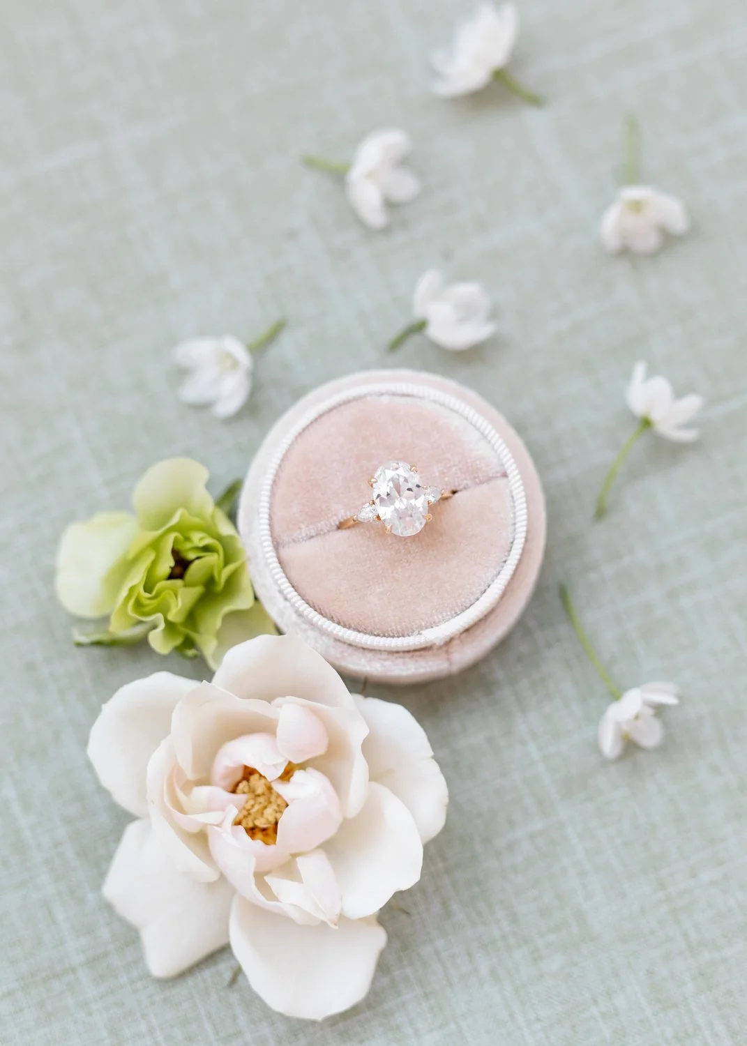 Blog — Livi Shaw Photography