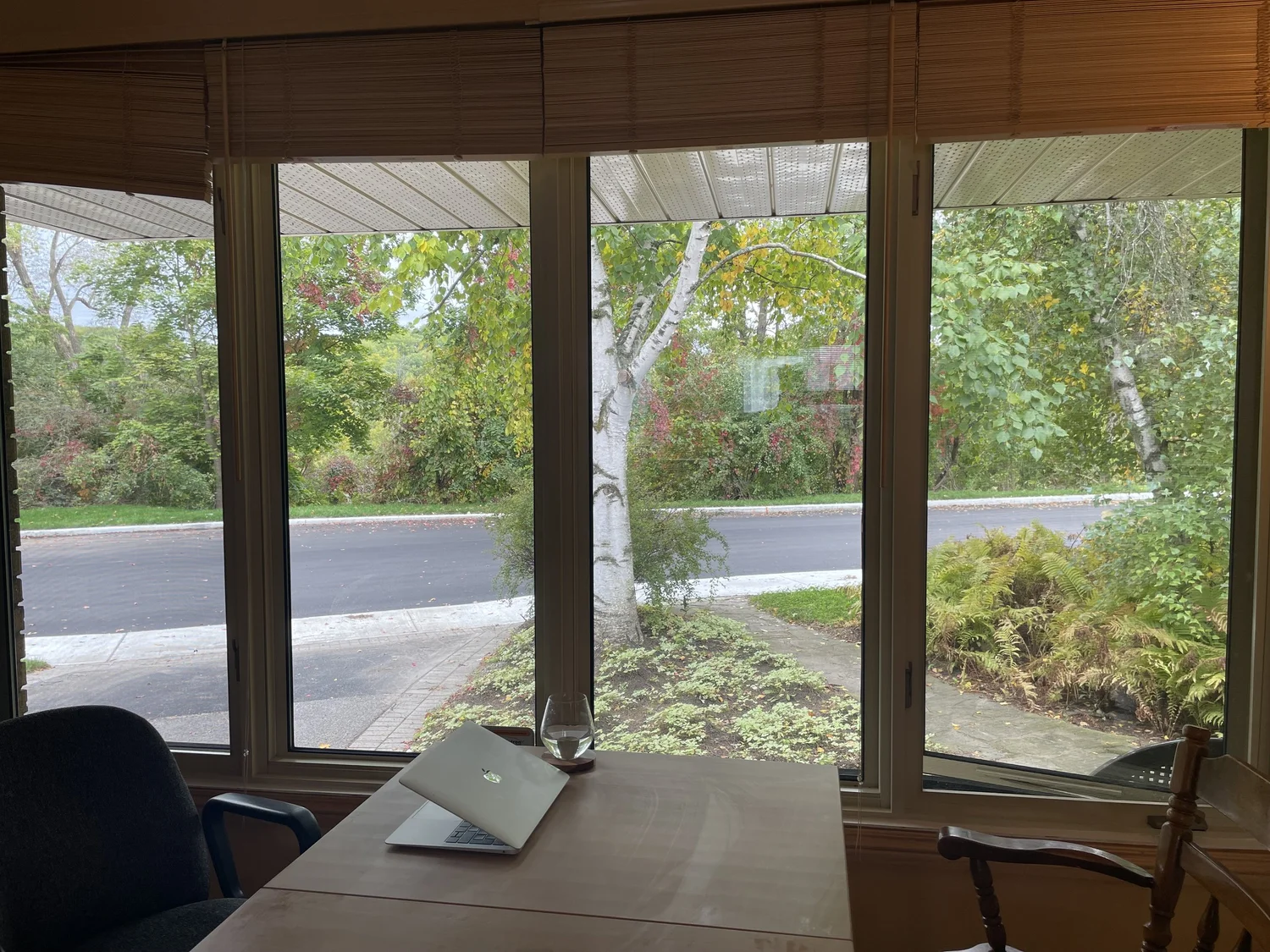 Marie-France Trudelle ND.A.