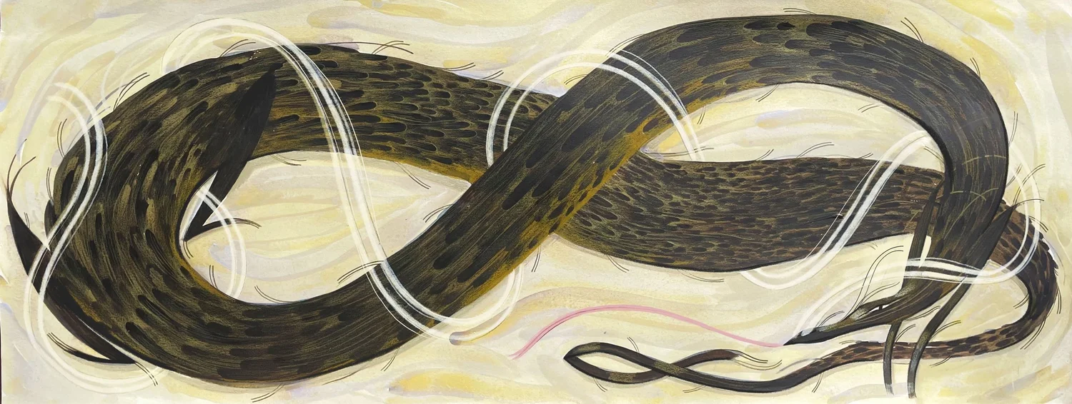 Laura Faber
