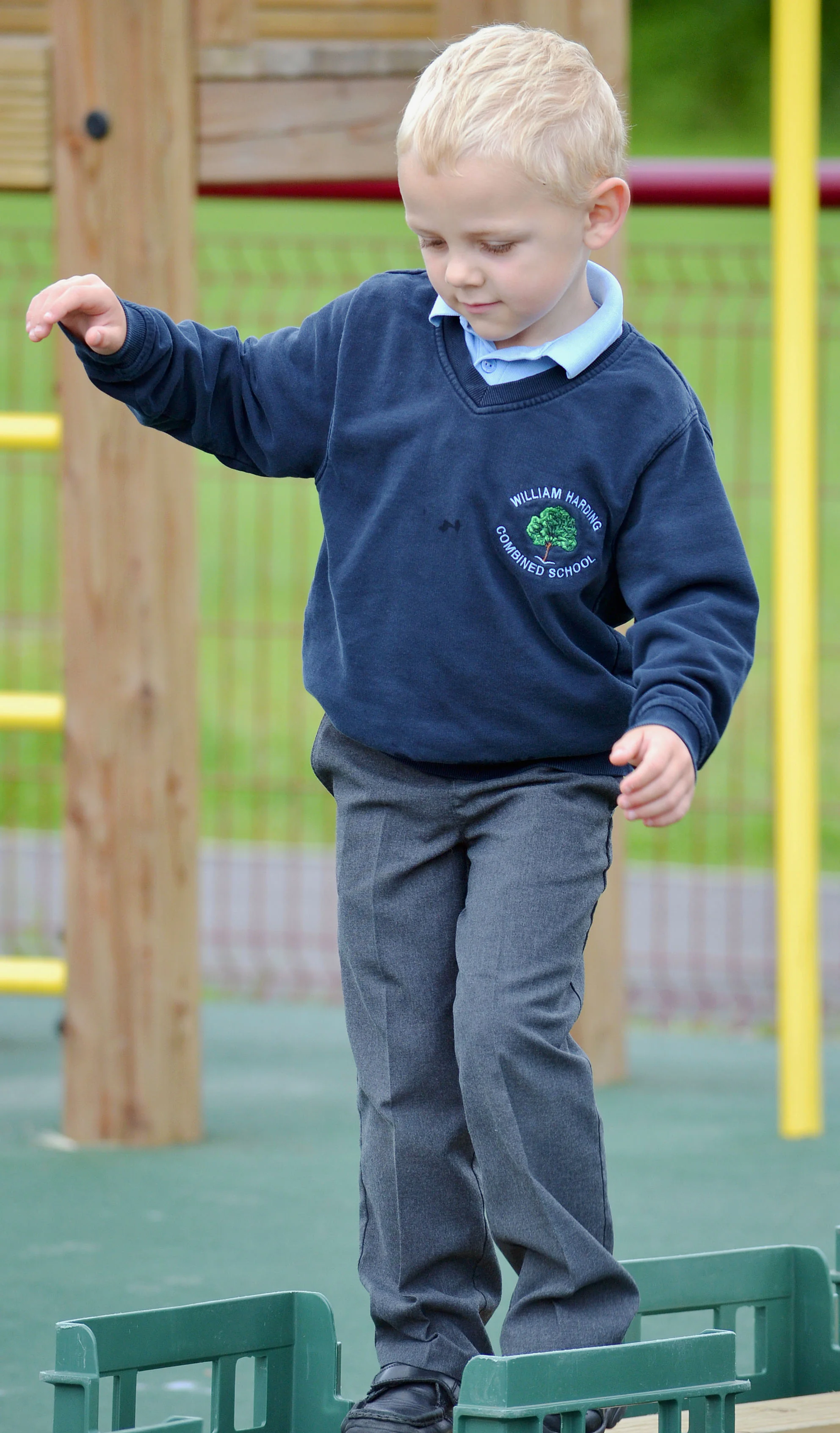 Gallery — William Harding School
