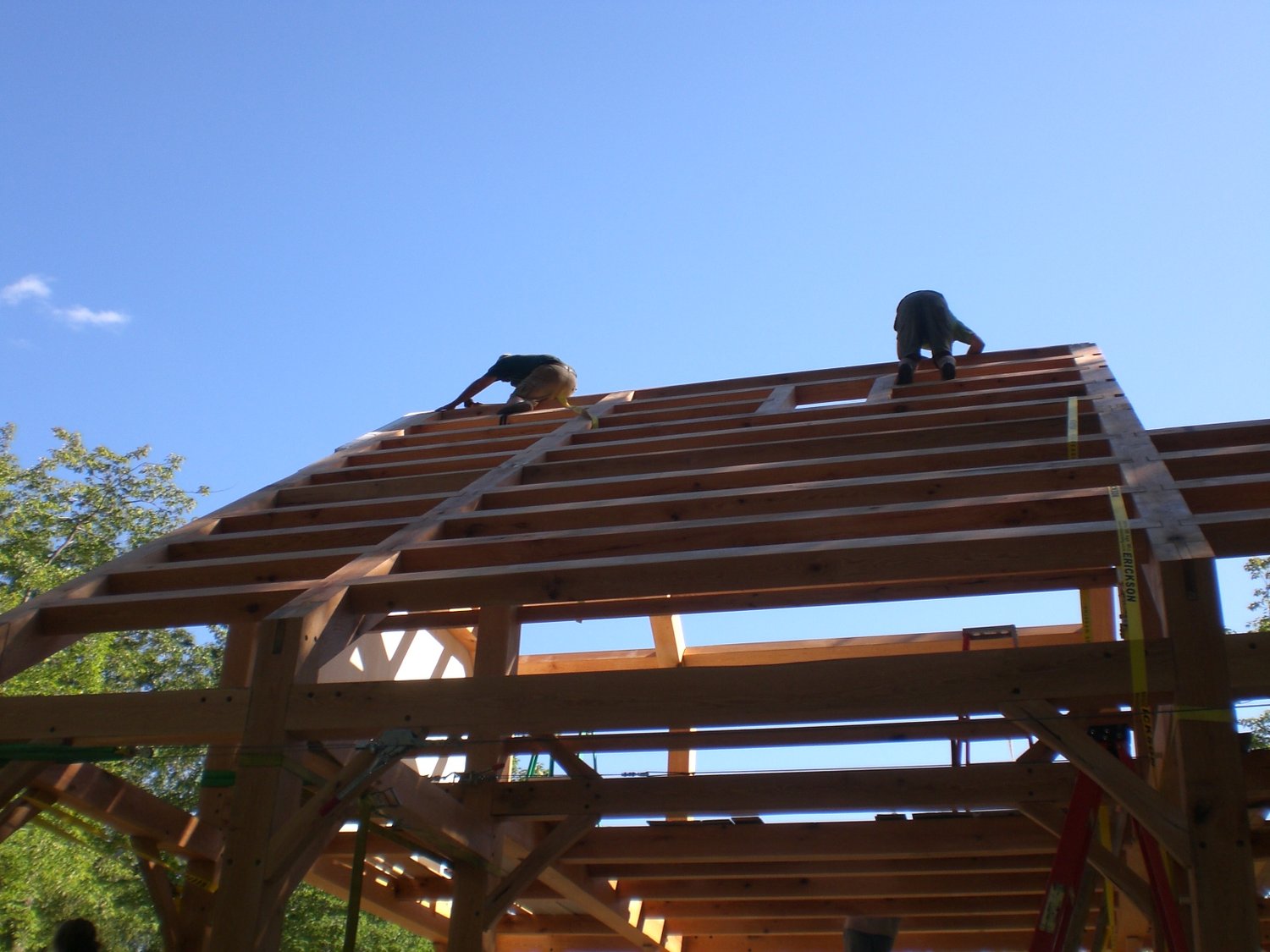 Saltbox House — House in the Woods LLC